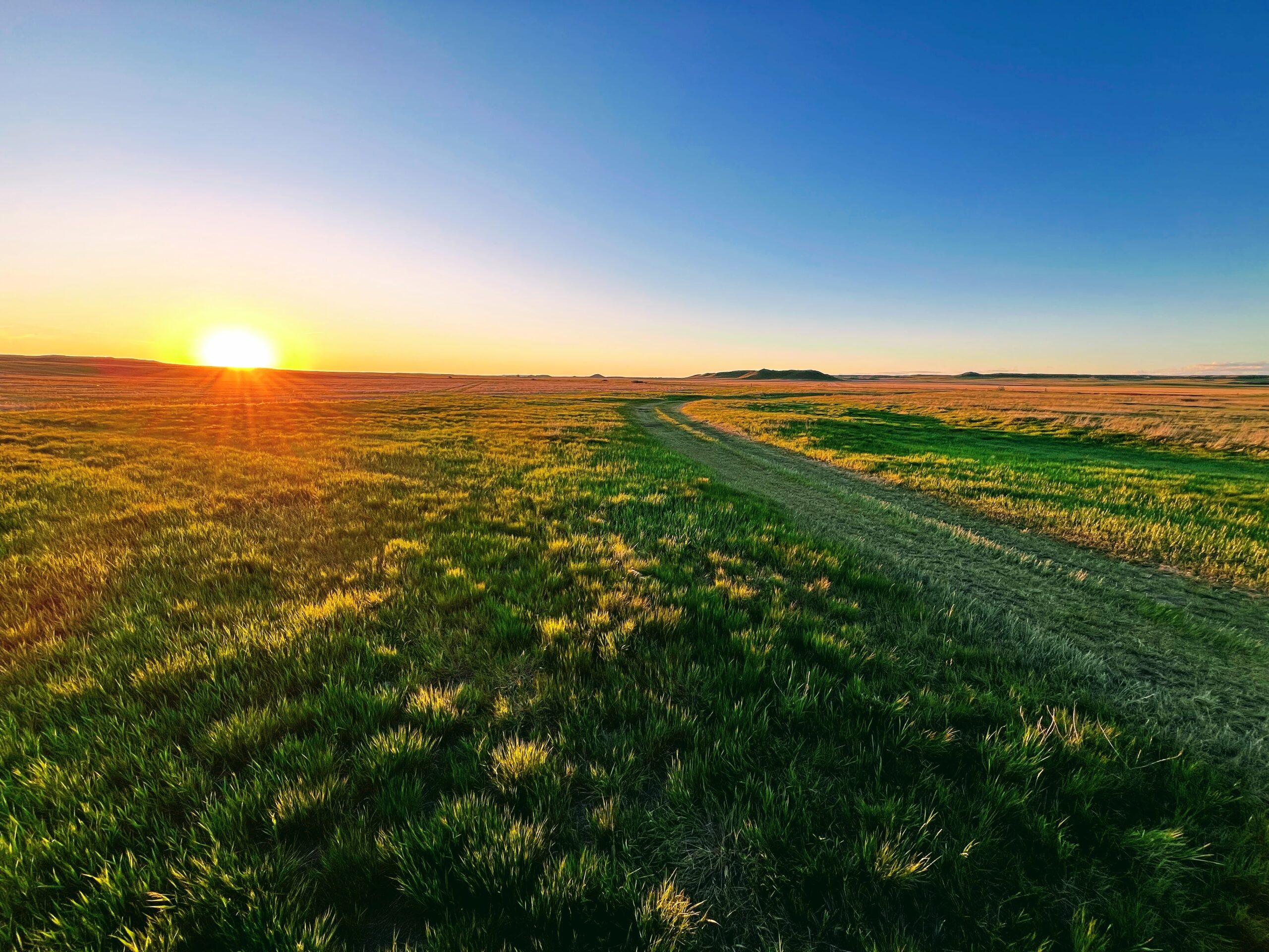MVD Services - Learn More About The Services We Offer In Billings | MVD ...