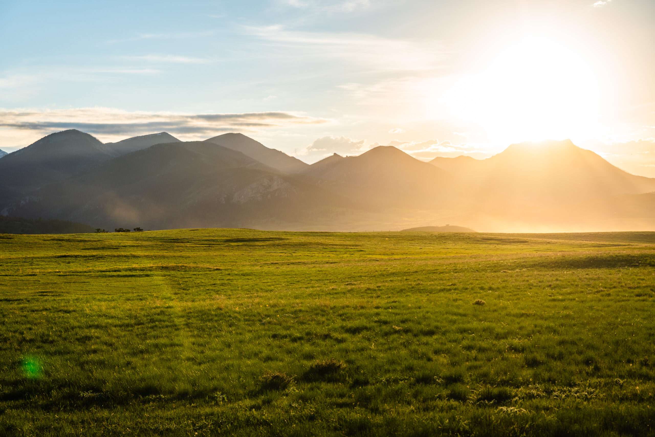 Montana License Plate Renewal - MVD Express